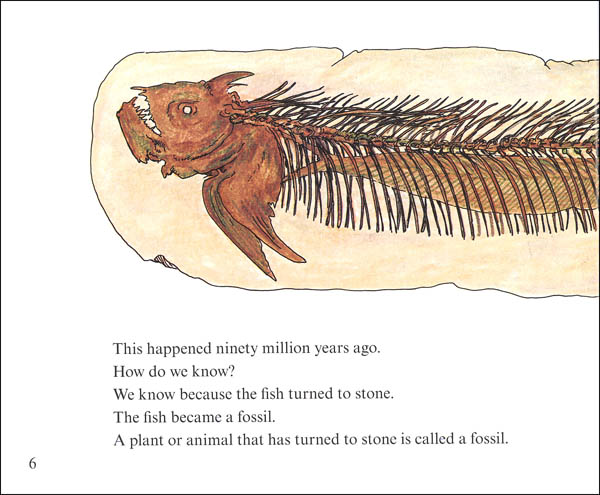 Literature & Fiction Children's Books Chapter Books & Readers Let's ...