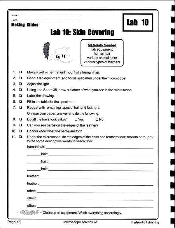 Microscope Lab Worksheet