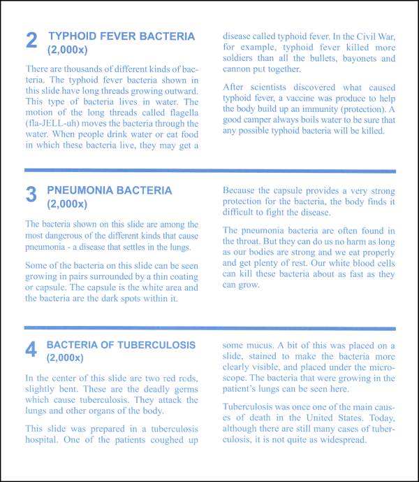Box of 15 American Educational Microslide Harmful Bacteria Lesson Plan ...