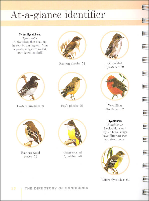 Growth Charts For Baby North American Songbirds at Lillian Hecker blog
