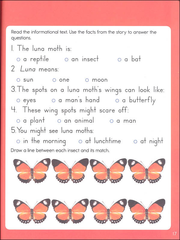 First Grade Reading And Writing Learning Fun Workbook Highlights 