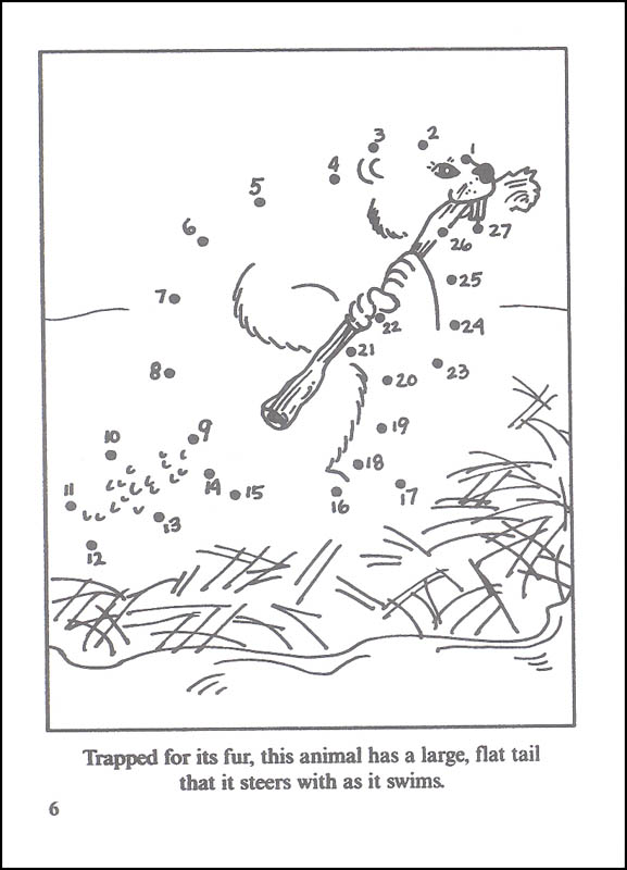 Zoo Animals Dot-to-Dot Little Activity Book | Dover Publications ...