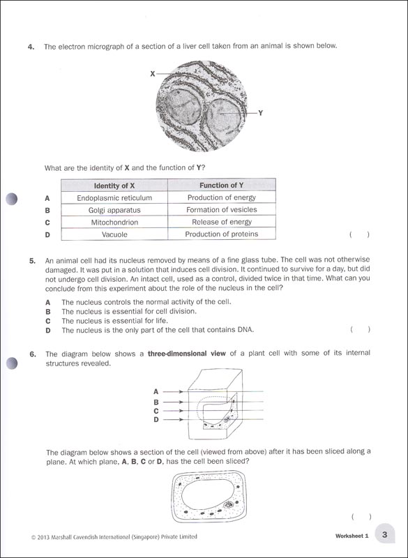 Biology Matters Workbook Marshall Cavendish 9789810117269 biology-matters-workbook-marshall-cavendish-9789810117269