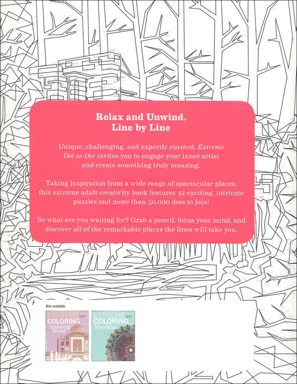 Extreme Dot to Dot Spectacular Places Barron s Educational Series 