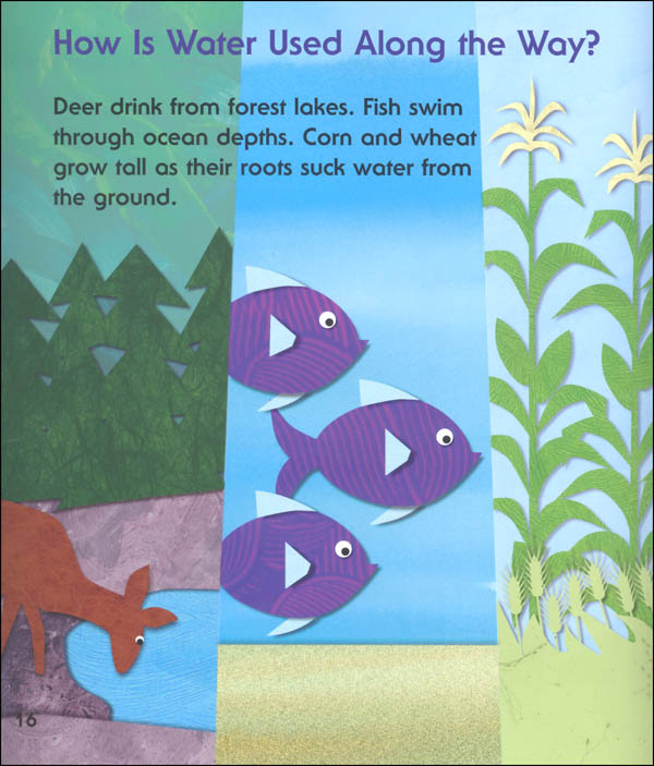 Water: Up, Down, and All Around (Amazing Science) | Picture Window ...