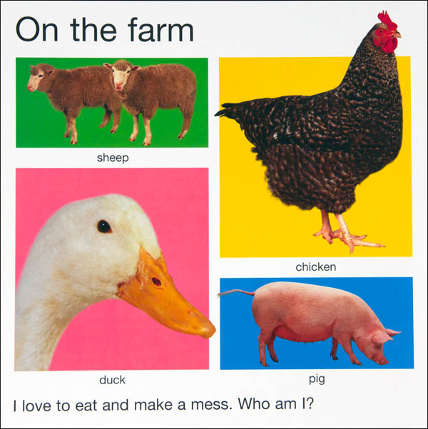 My Big Animal Book (My Big Board Book) | Priddy Books | 9780312511074