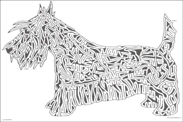 Extreme Mazes Book 2 | MindWare