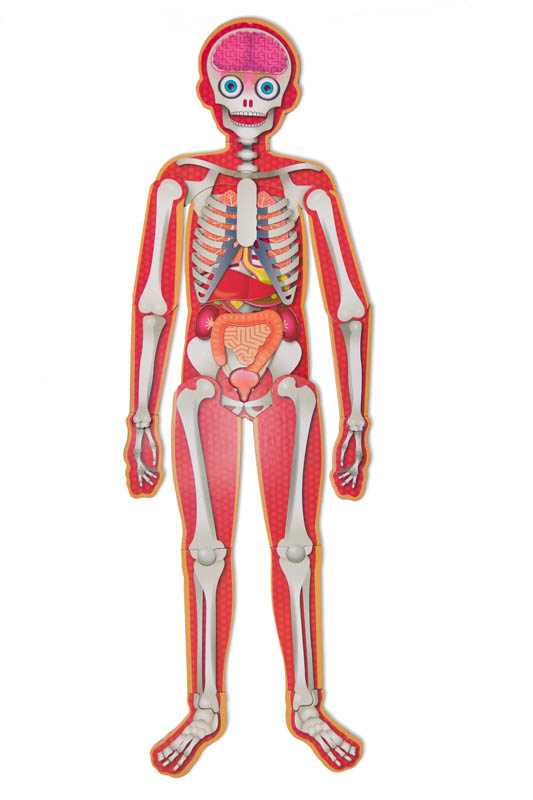 Make and Move Human Body | Silver Dolphin Books | 9781626864894