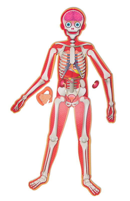 Make and Move Human Body | Silver Dolphin Books | 9781626864894