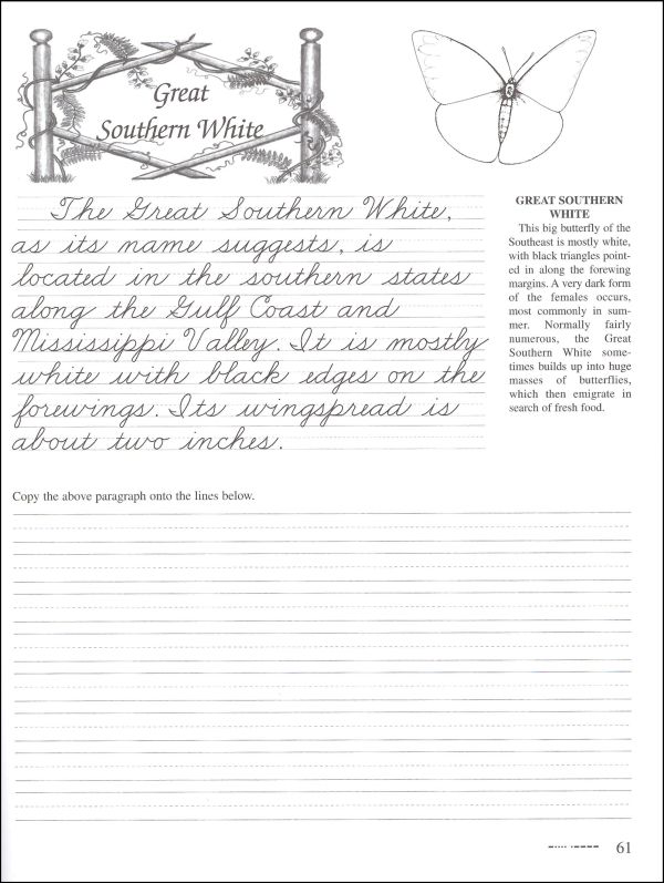 Cursive Paragraph Practice Sheets