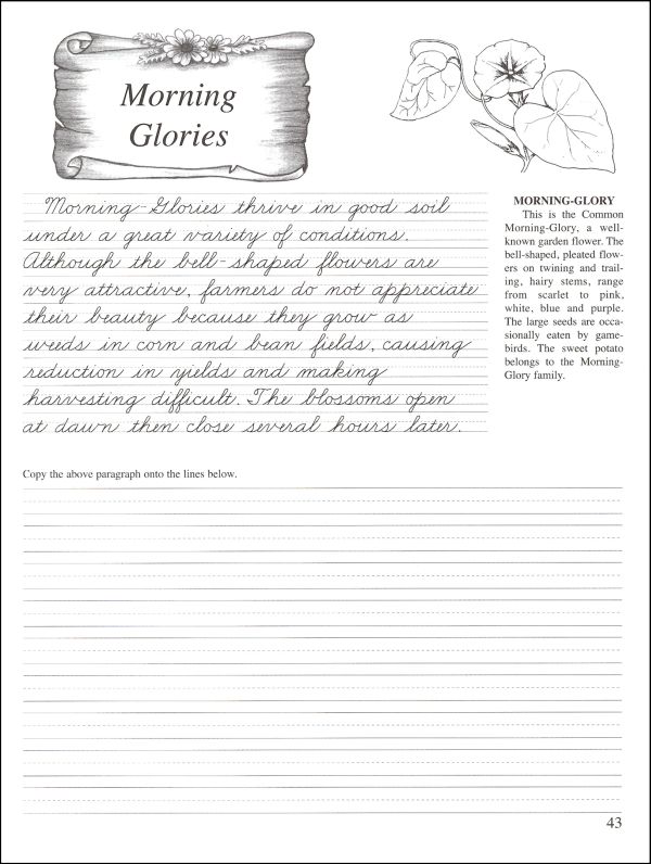 Pentime Cursive Grade 8 Pentime Publishers