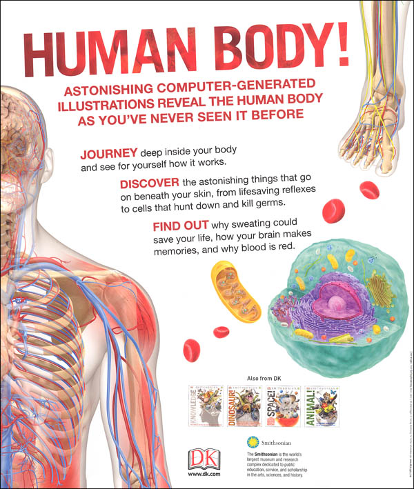 Human Body! (Smithsonian) | Dorling Kindersley | 9781465462398