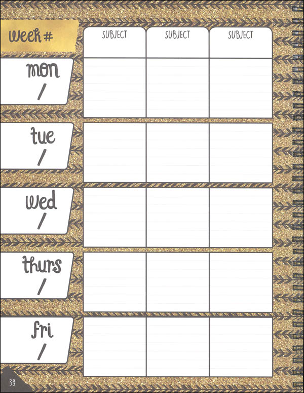 Sparkle Shine Teacher Planner Carson Dellosa 9781483852119