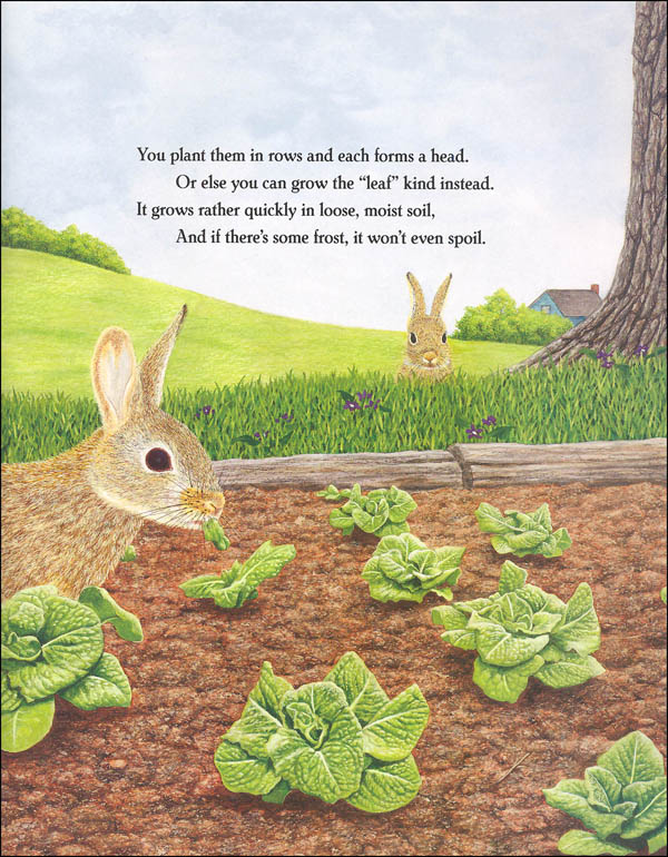 What's in the Garden? | Dawn Publications | 9781584691907