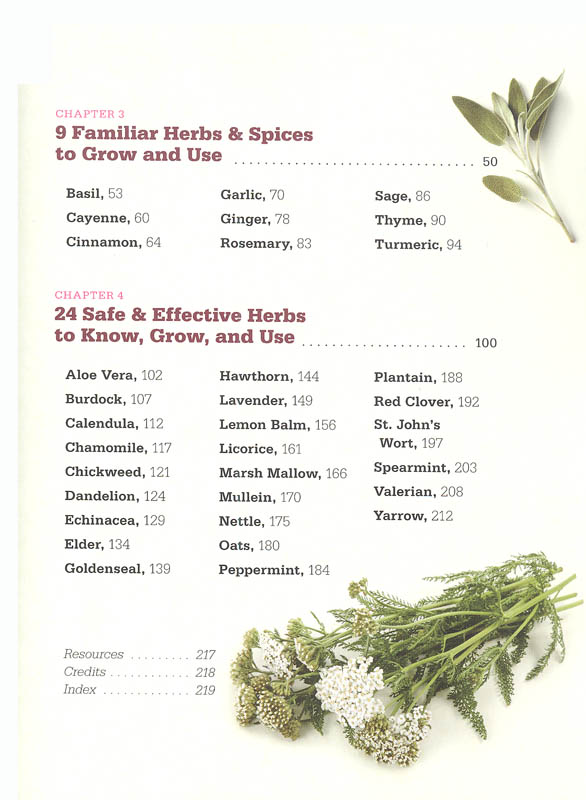Rosemary Gladstars Medicinal Herbs Beginners Guide Storey Books 9781612120058
