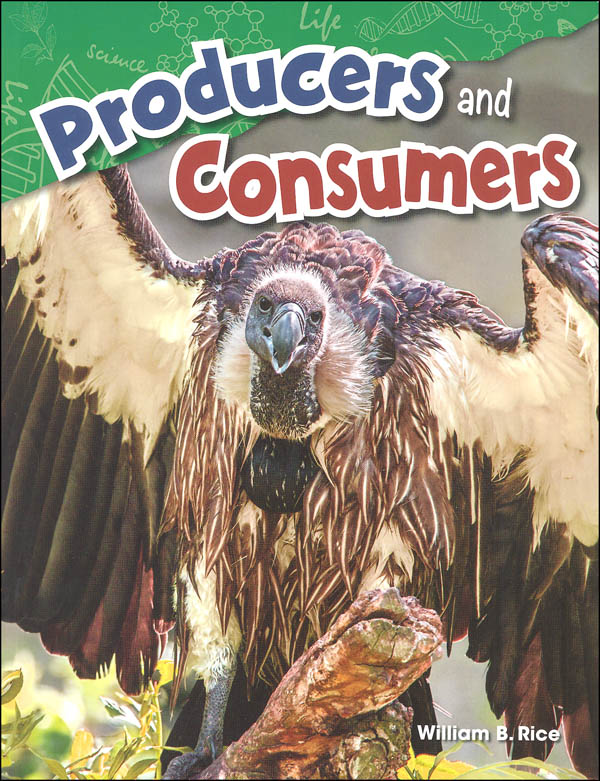 learn-at-home-summer-science-bundle-grade-5-shell-education