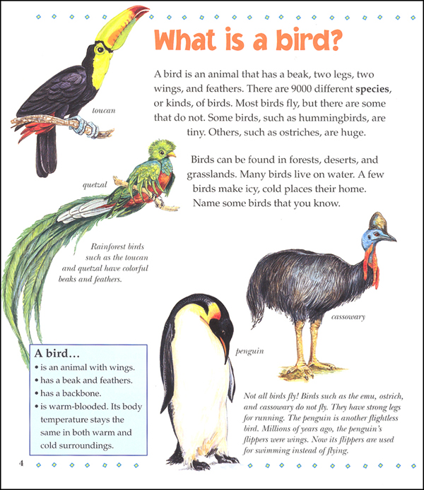 What is a Bird? | Crabtree Publishing Company | 9780865058927
