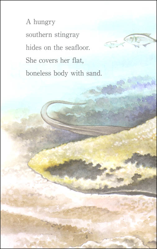 Stingrays! Underwater Fliers (Step into Reading Level 3) | Random House Children's Books ...