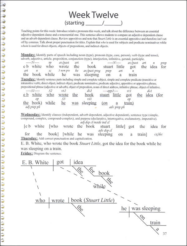 Daily Grammar Practice 8Th Grade Pdf Fuegoder Revolucion Daily Grammar Practice 8Th Grade Pdf Fuegoder Revolucion