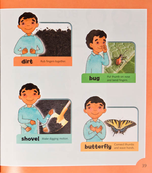 Time to Sign: Sign Language for Kids | Capstone Press | 9781620656877