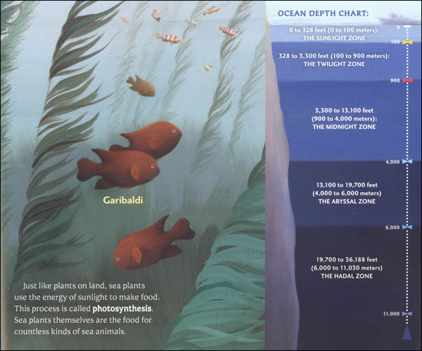 Deep Sea Science