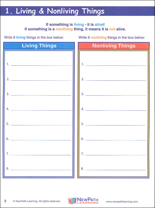 Video Science Graphic Organizer