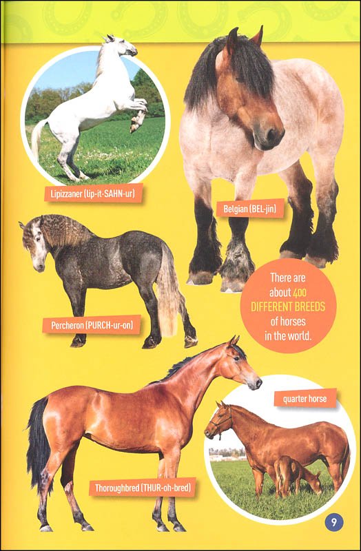 Facts About Horses National Geographic at Kimberly Clifton blog